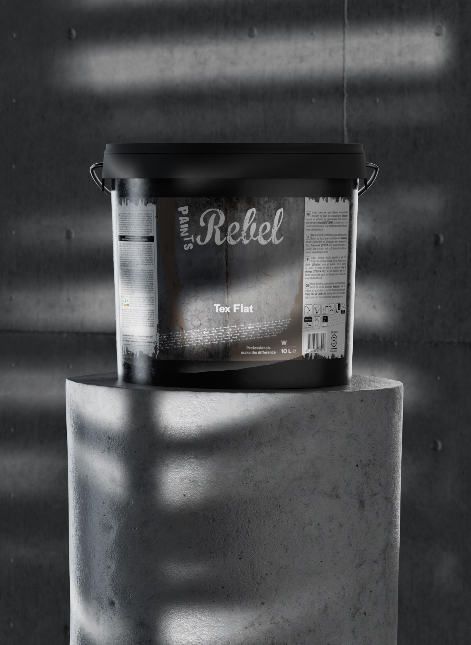 Tex Flat - Interior Paint Jobs | Rebel Paints